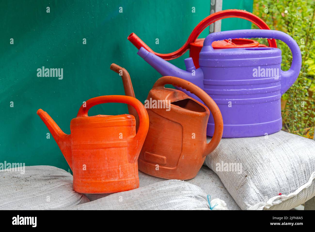 Watering Bucket Plastic Sprinkling Can for Garden Plants Stock Photo ...