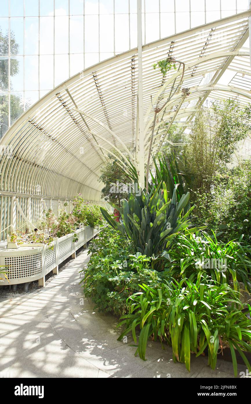Botanical garden with plants and flowers growing in Dublin, Ireland ...