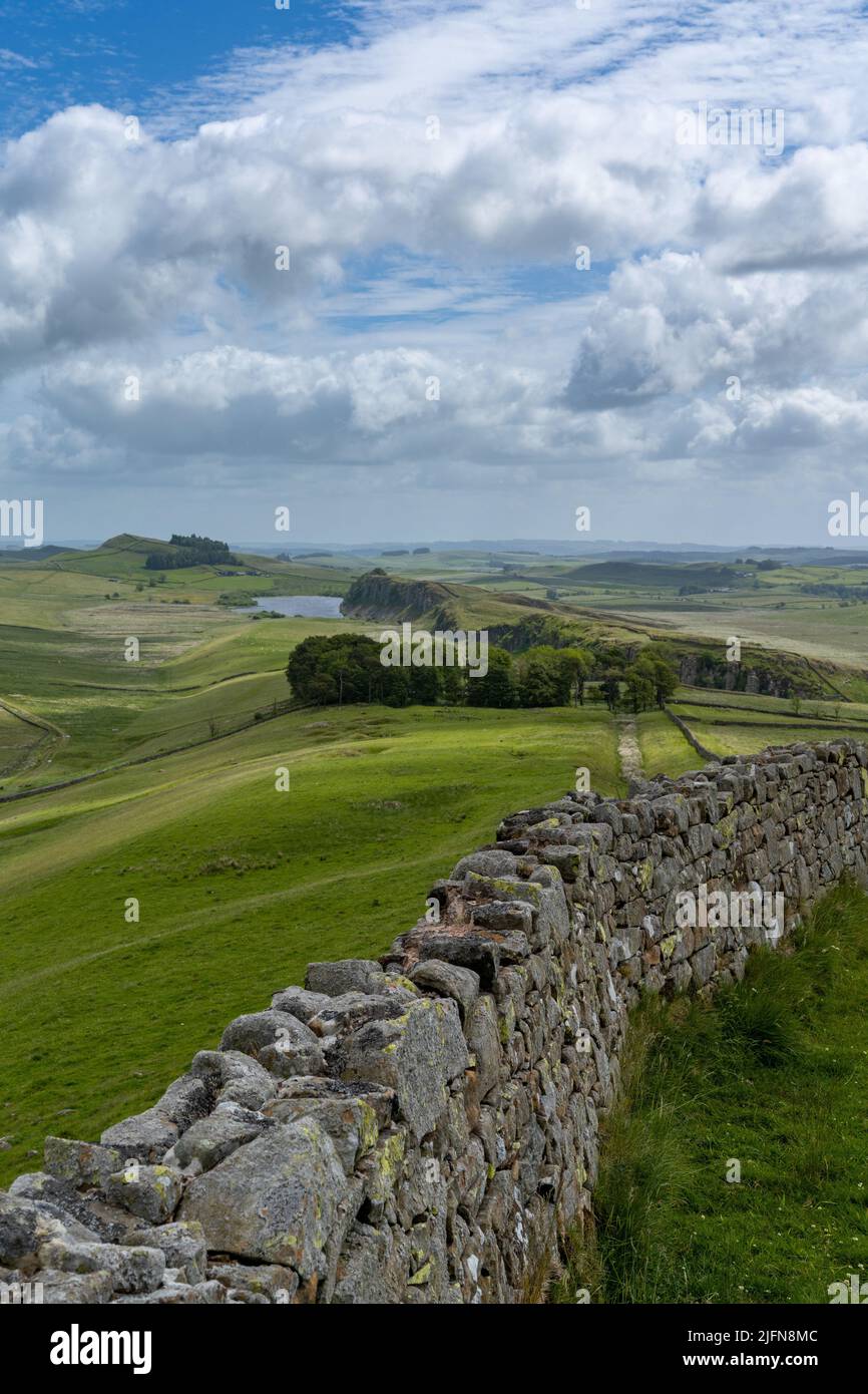 A vertical view of remnants of Hadrian's Wall near Steel Rigg in ...