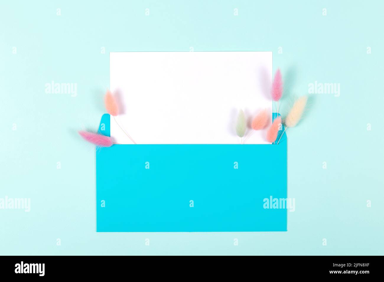 Blue envelope with blank card decorated with colourful fluffy spikelets ...