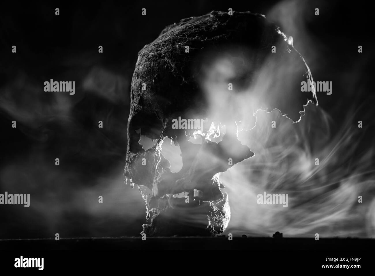 Real human skull in mysterious, foggy light. Spooky, horror wallpaper ...