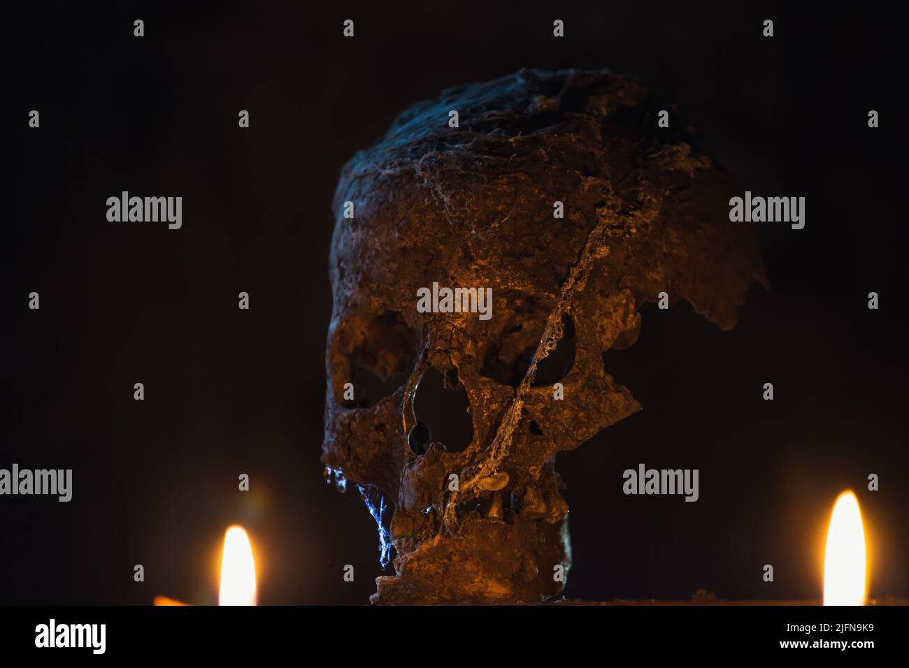 Real human skull in mysterious, foggy light. Spooky, horror wallpaper ...