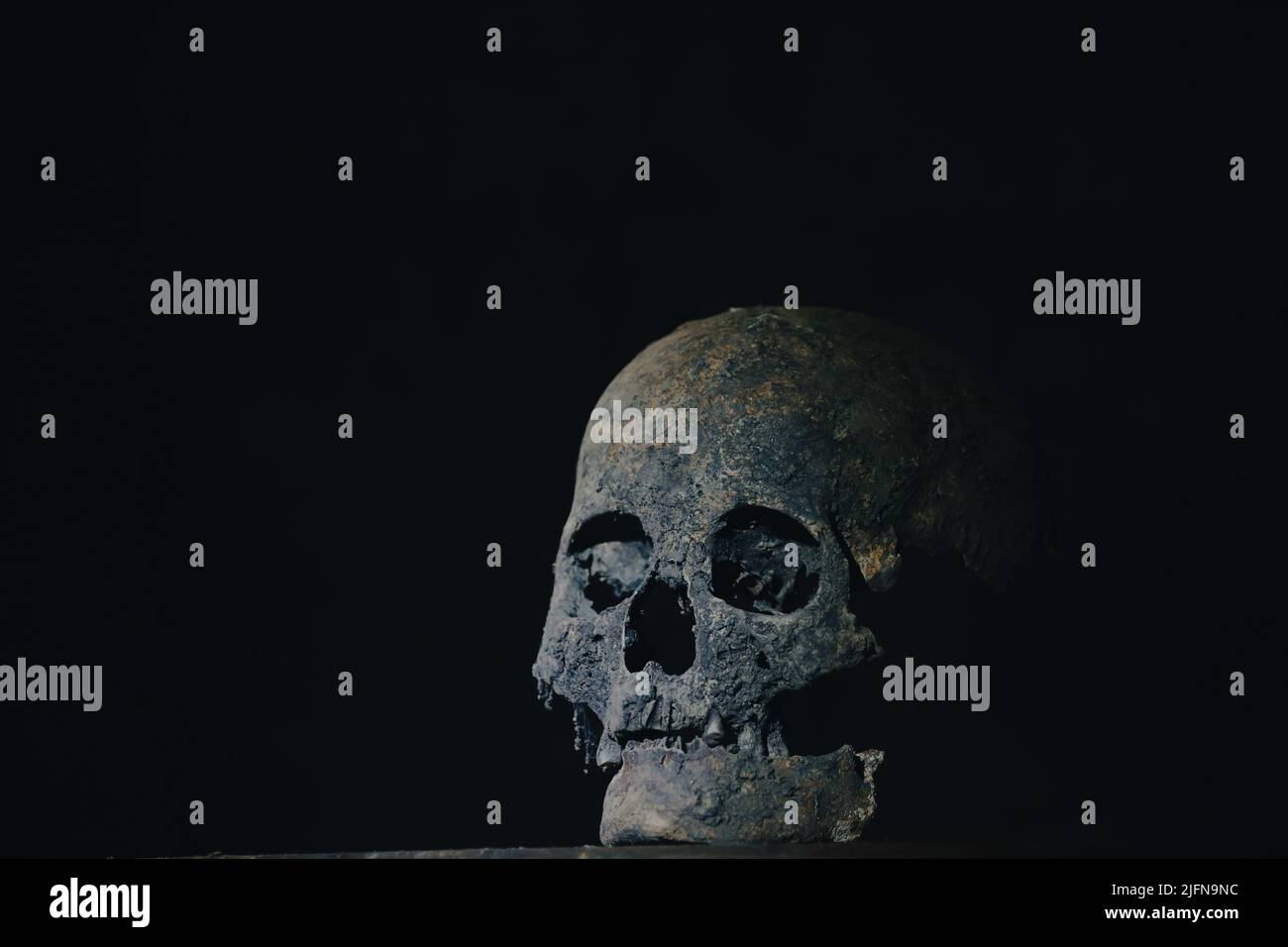 Real human skull in mysterious, foggy light. Spooky, horror wallpaper ...