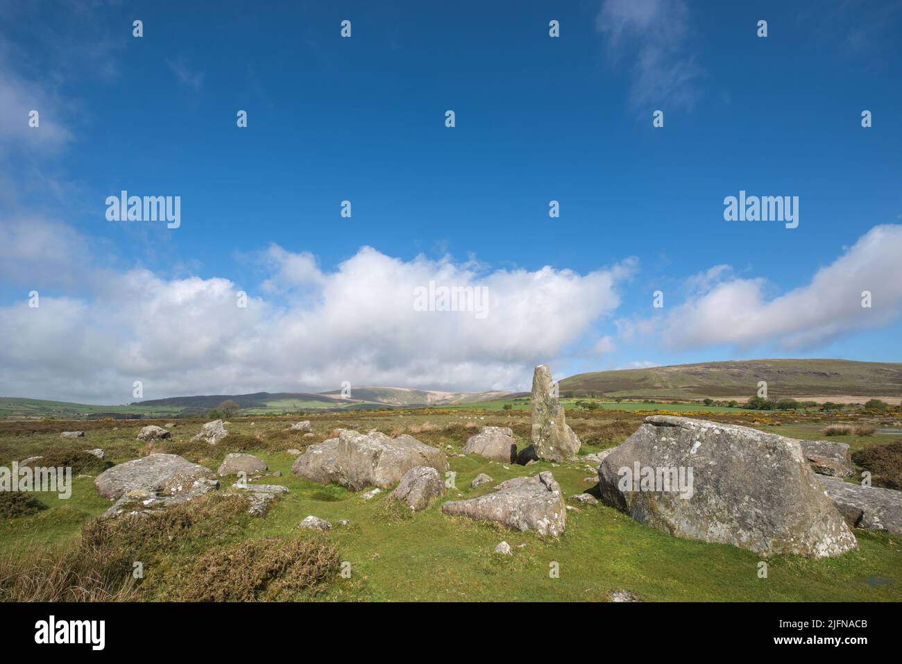 Waldo's Stone, Maenclochog, Pembrokeshire, Wales, UK Stock Photo - Alamy