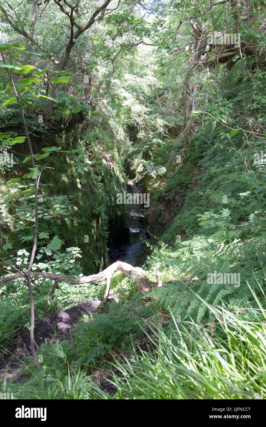 The Devil's Pulpit gorge in Finnich Glen, Killearn, Stirlingshire ...