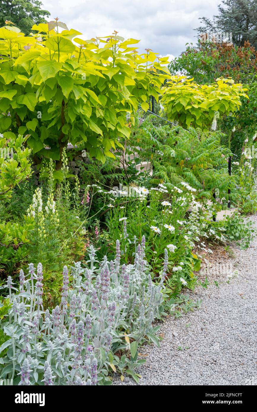 Summer at Thornbridge Hall Gardens near Bakewell in Derbyshire, England ...