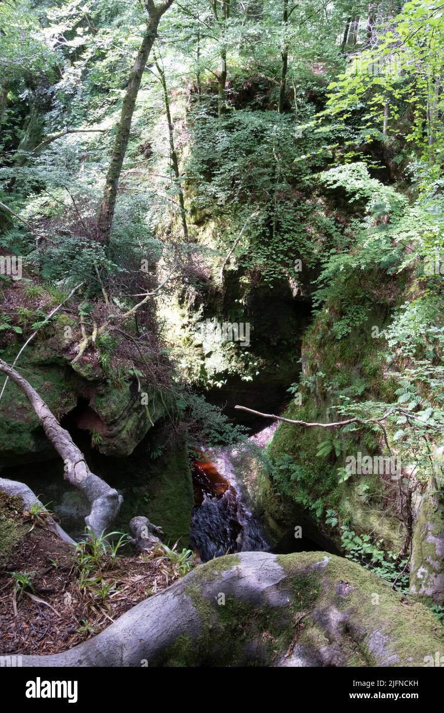 The devils pulpit gorge in finnich glen hi-res stock photography and ...
