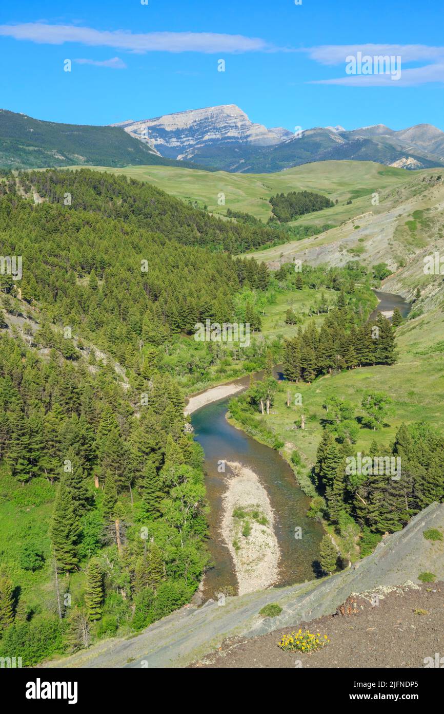 Mt d9770 hi-res stock photography and images - Alamy