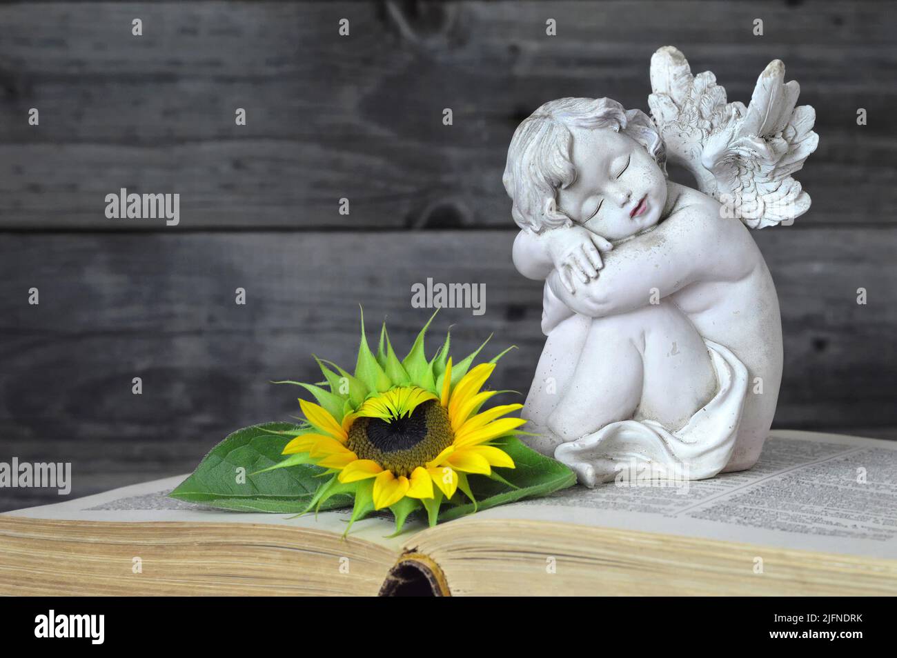 Angel and sunflower on open book Stock Photo - Alamy
