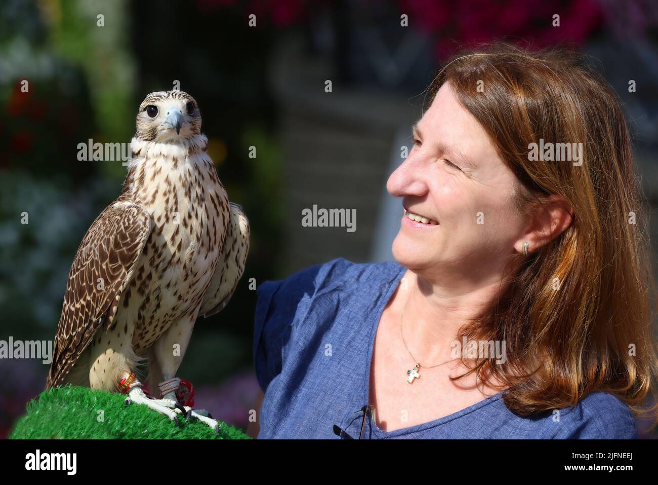 Dubai, Falke, Dubai Falke, schöne Frau kommuniziert mit einem Falken im ...