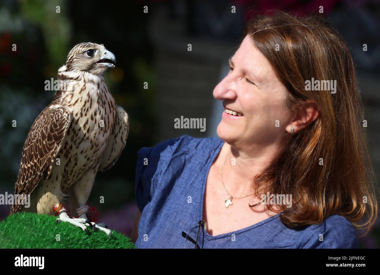 Dubai, Falke, Dubai Falke, schöne Frau kommuniziert mit einem Falken im ...