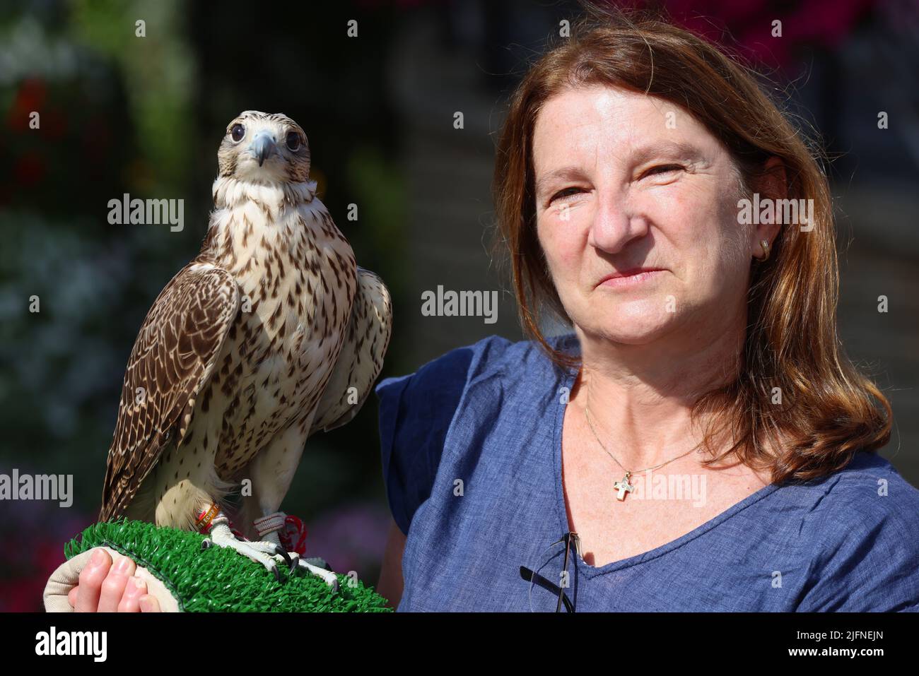 Dubai, Falke, Dubai Falke, schöne Frau kommuniziert mit einem Falken im ...