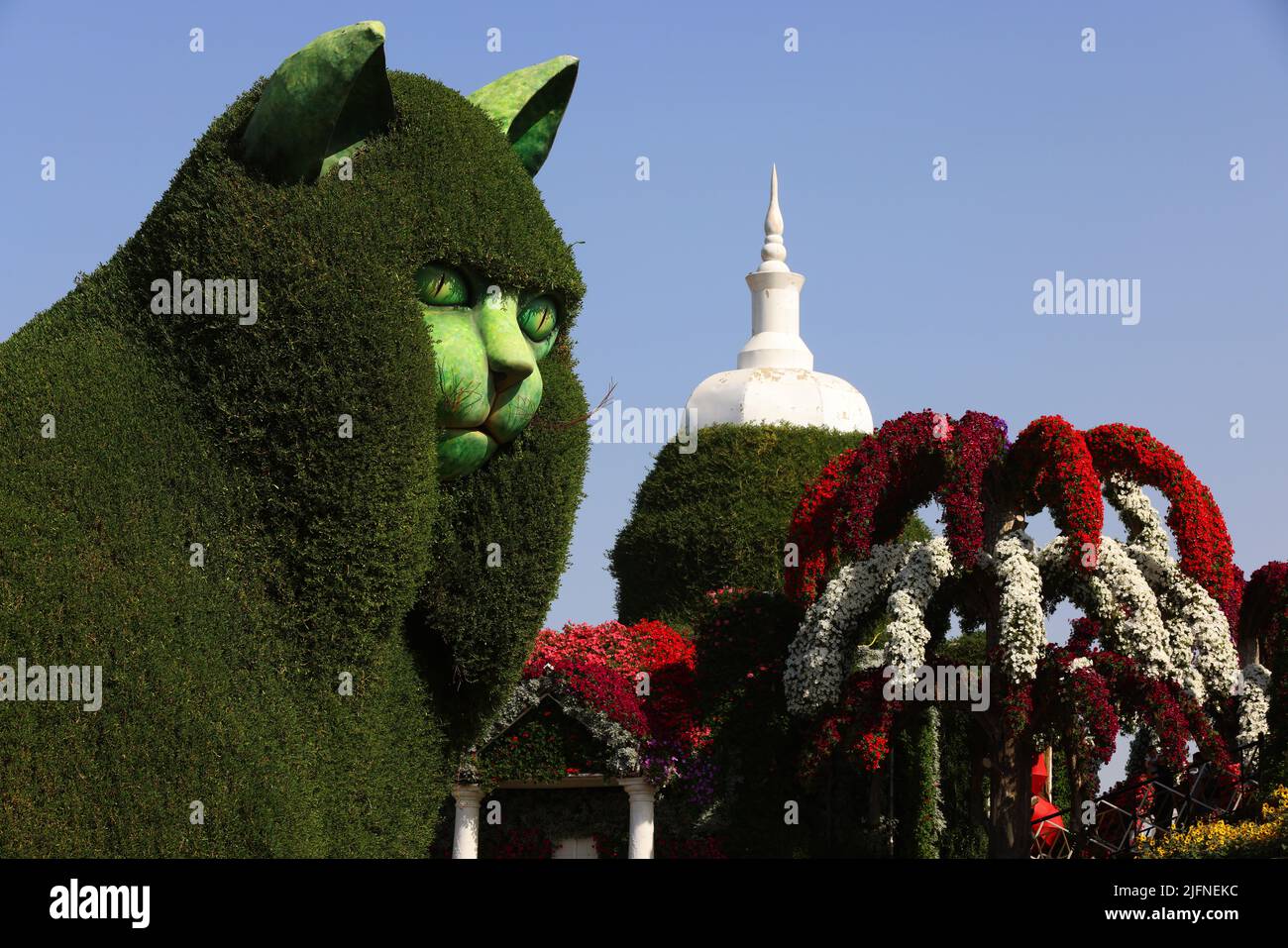 Katze, Blumen, Dubai, Miracle Garden, ein Garten mit wunderschönen ...