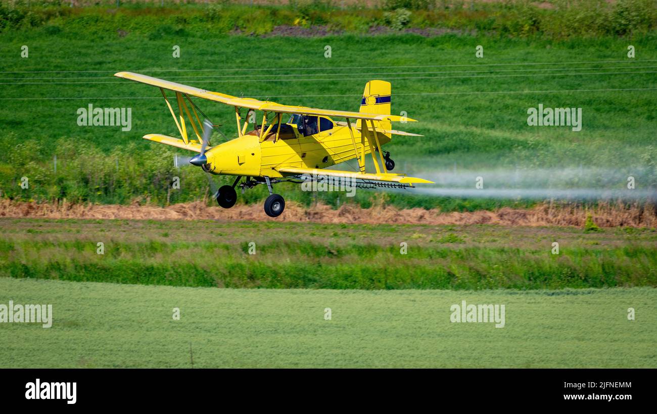 Chemical sprays from a yellow crop-duster onto green fields Stock Photo ...