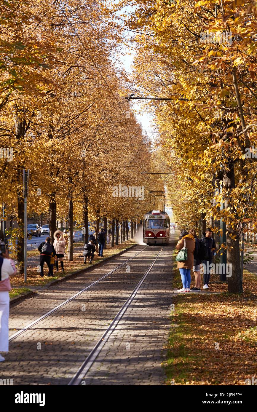PRAGUE, CZECH REPUBLIC - OCTOBER 24, 2021: Tram under trees with yellow ...