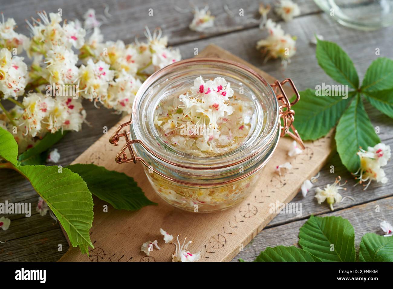 Preparation of herbal tincture from fresh horse chestnut blossoms in ...