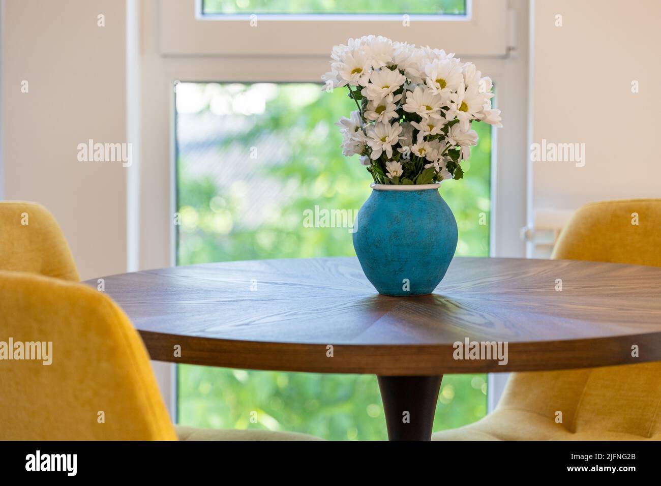 Blue vase with margaret flowers on wooden round dining table with ...