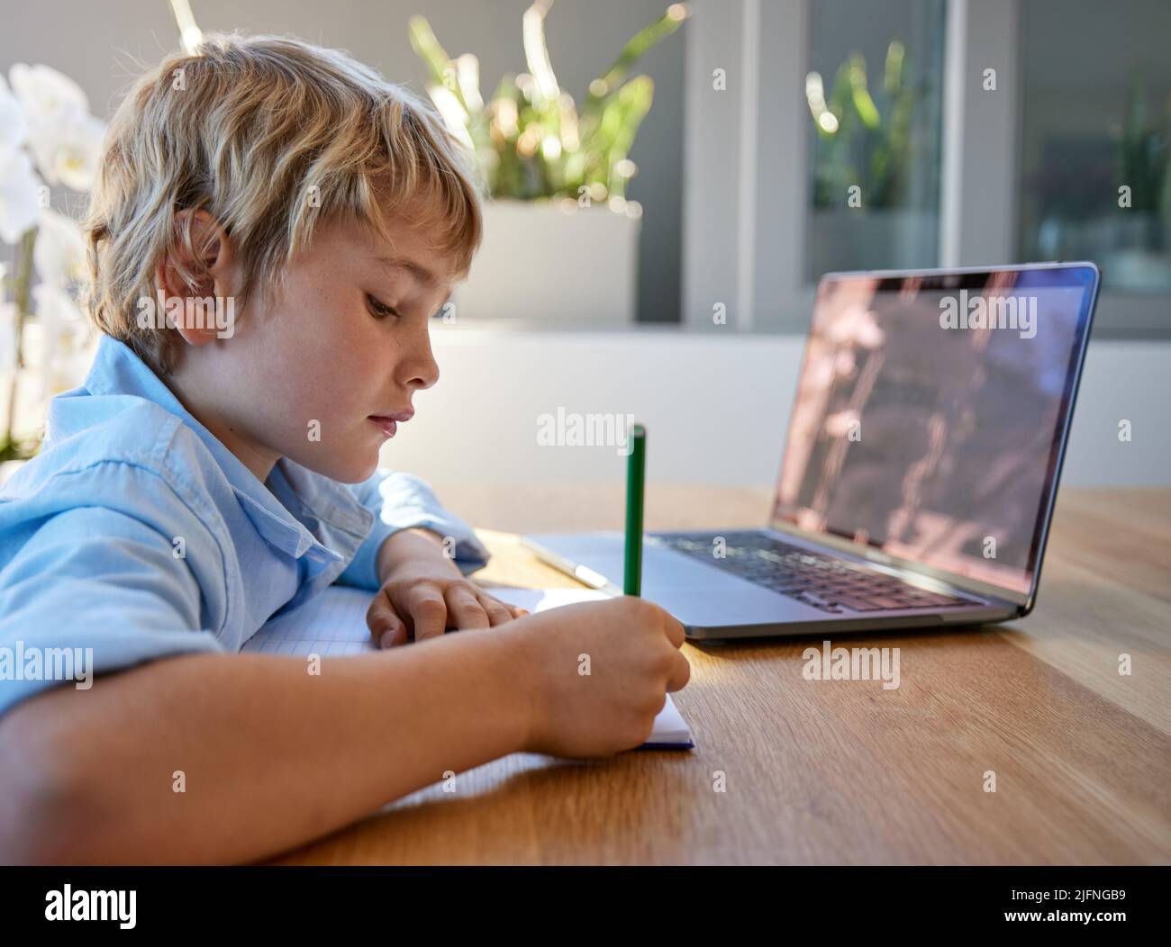 Young homeschool little boy sitting alone and using laptop to study ...