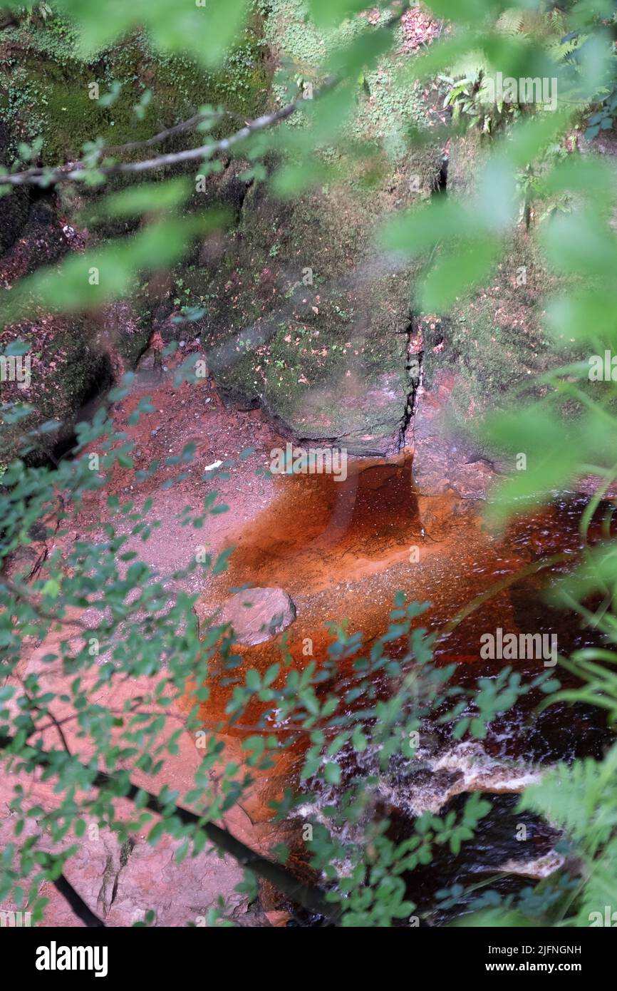 The Devil's Pulpit gorge in Finnich Glen, Killearn, Stirlingshire ...