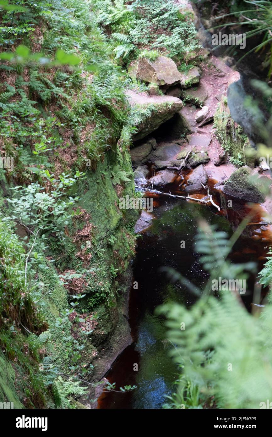 The Devil's Pulpit gorge in Finnich Glen, Killearn, Stirlingshire ...