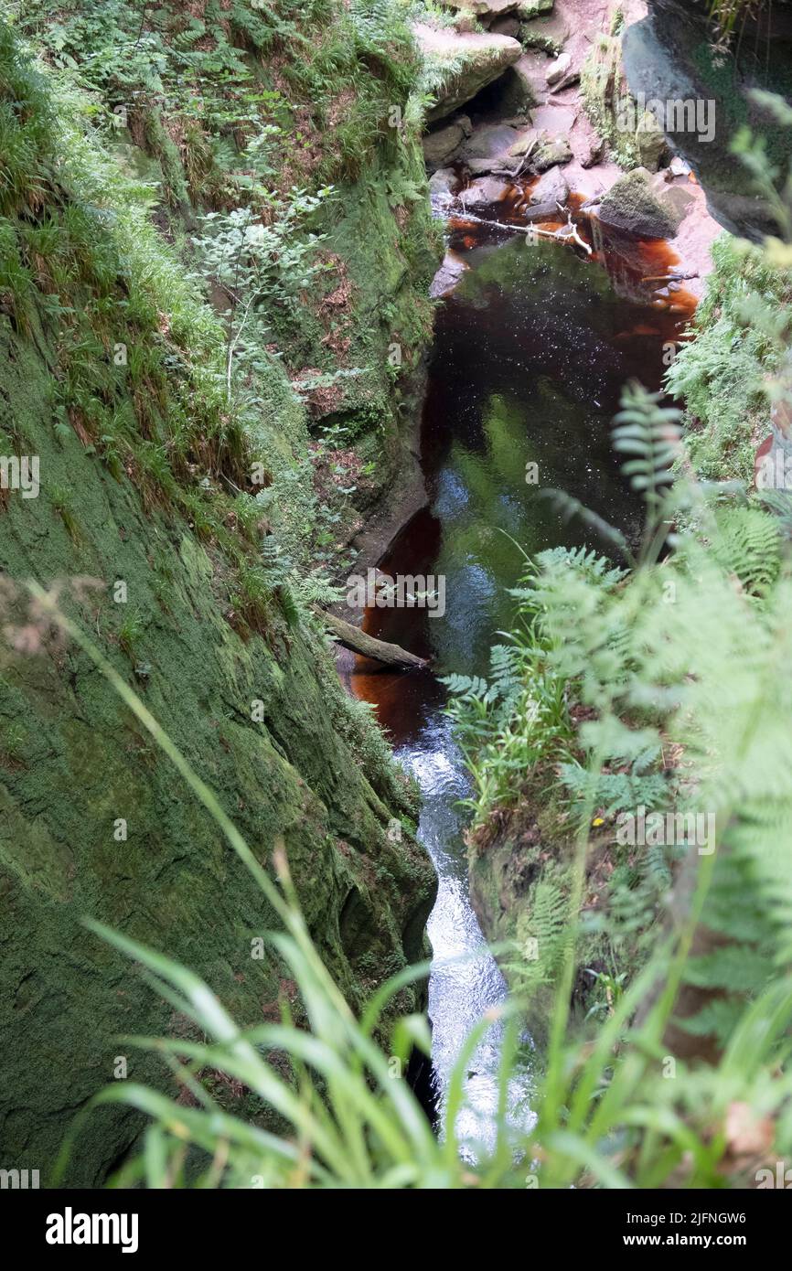 The Devil's Pulpit gorge in Finnich Glen, Killearn, Stirlingshire ...