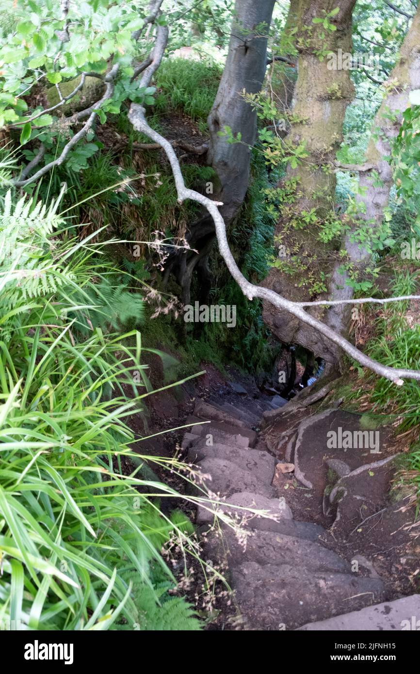 The Devil's Pulpit gorge in Finnich Glen, Killearn, Stirlingshire ...