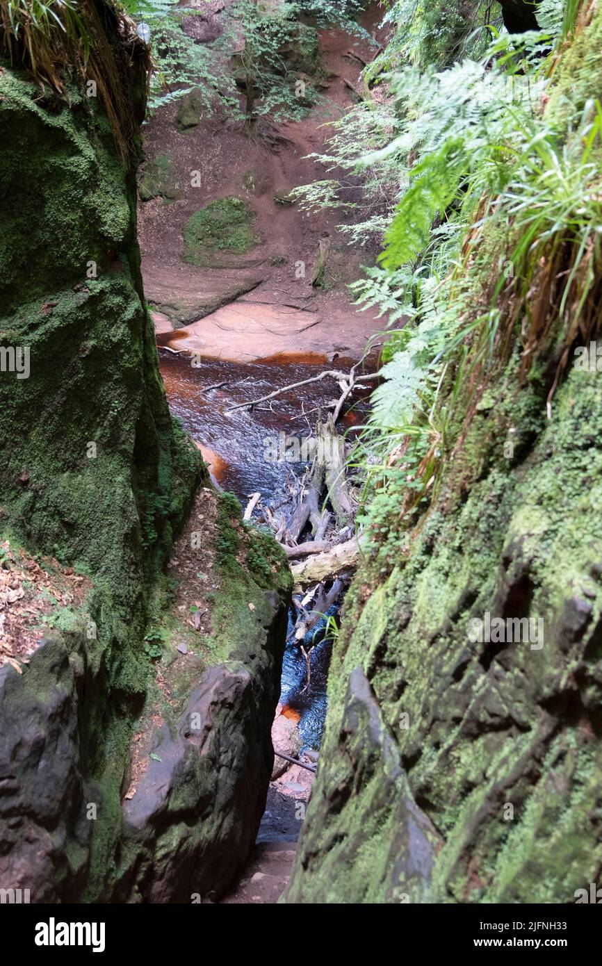 The Devil's Pulpit gorge in Finnich Glen, Killearn, Stirlingshire ...