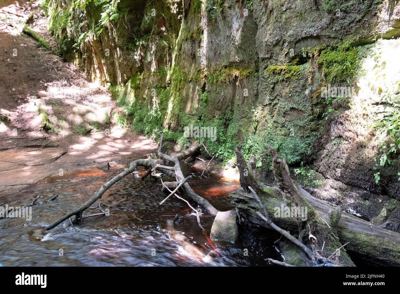The Devil's Pulpit gorge in Finnich Glen, Killearn, Stirlingshire ...