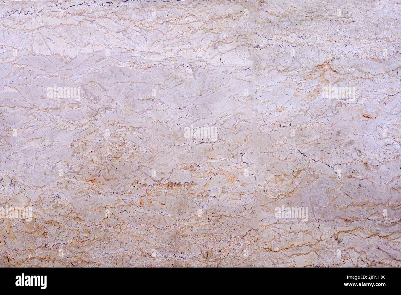 Textured wall lined with shell rock tiles Stock Photo - Alamy