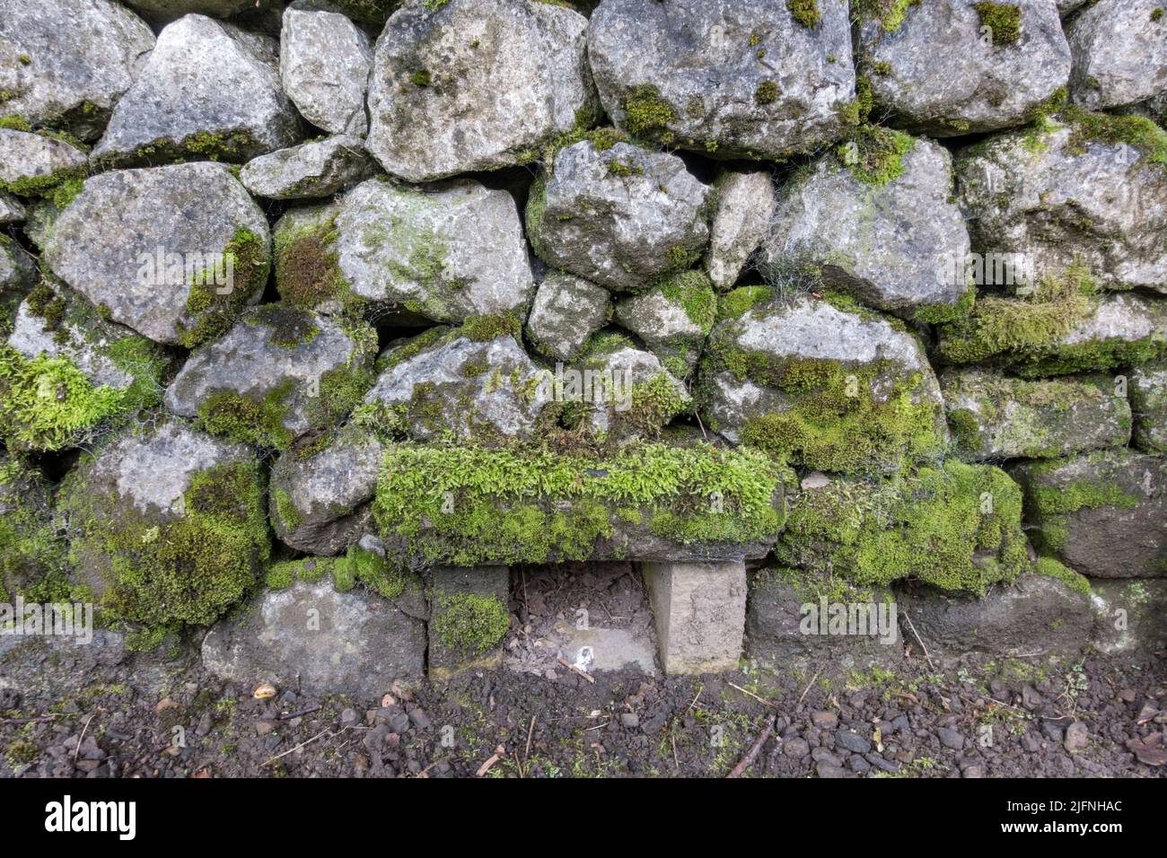 Example of a square smoot in a limestone dry wall, part of a dry stone ...