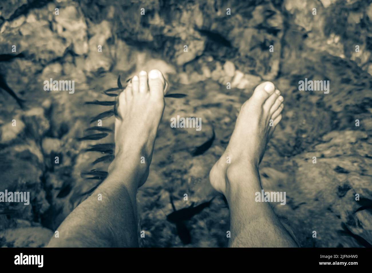 Old black and white picture of Fish spa pedicure fish bite feet in the ...