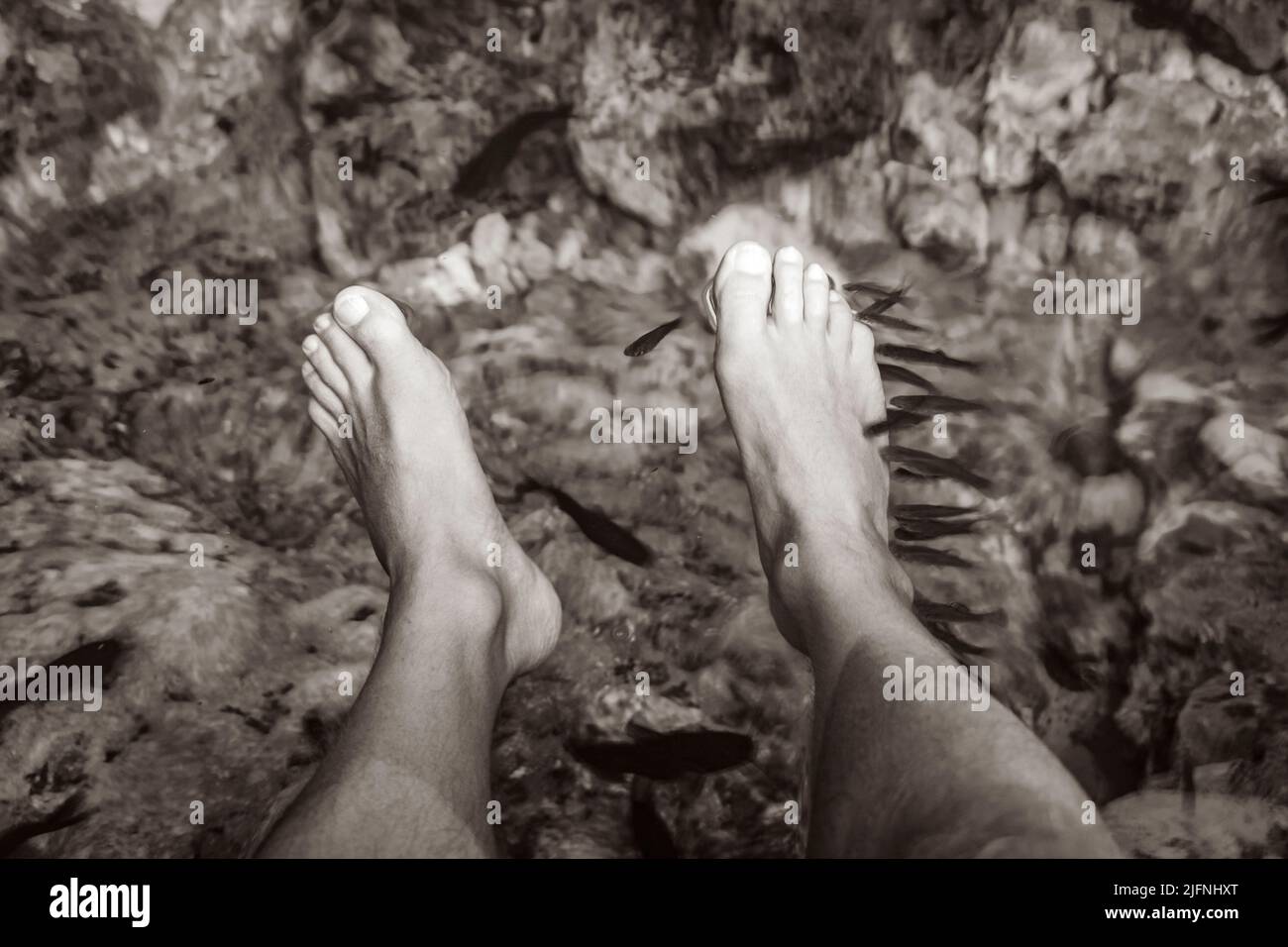 Old black and white picture of Fish spa pedicure fish bite feet in the ...