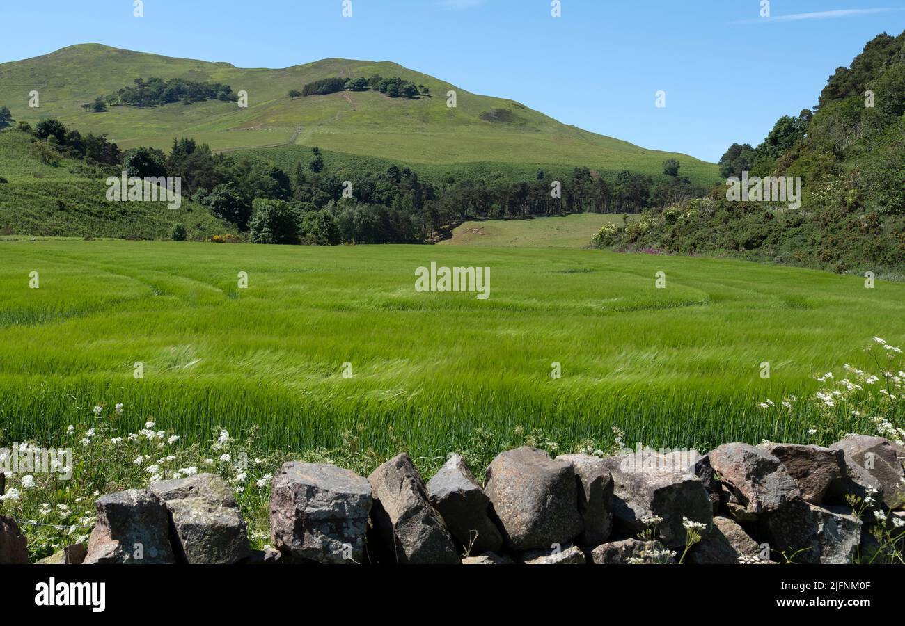 Pentland hill regional park hi-res stock photography and images - Alamy