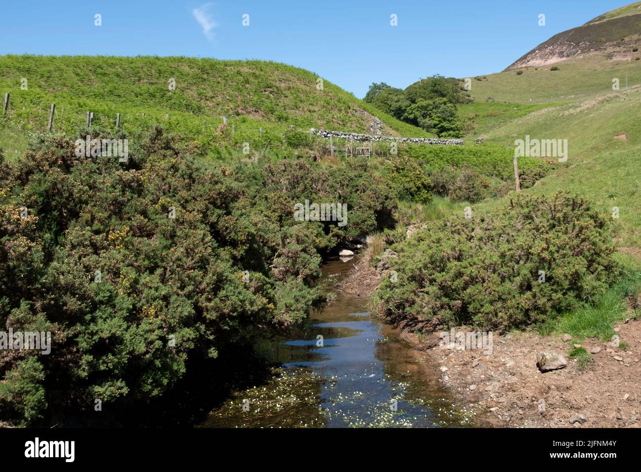 Pentland Hill regional park near Edinburgh,Scotland Stock Photo - Alamy