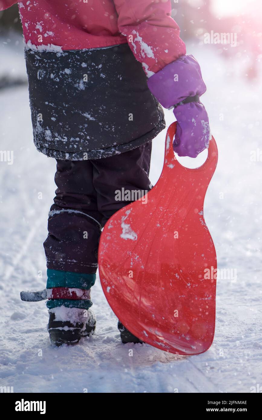 The girl is holding a red sled in her hands to ride the hill. Sledging ...