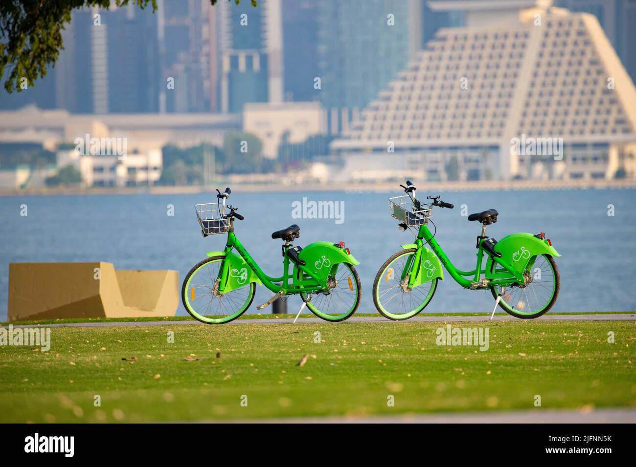 A shot of the green bikes and sea on the background Stock Photo - Alamy