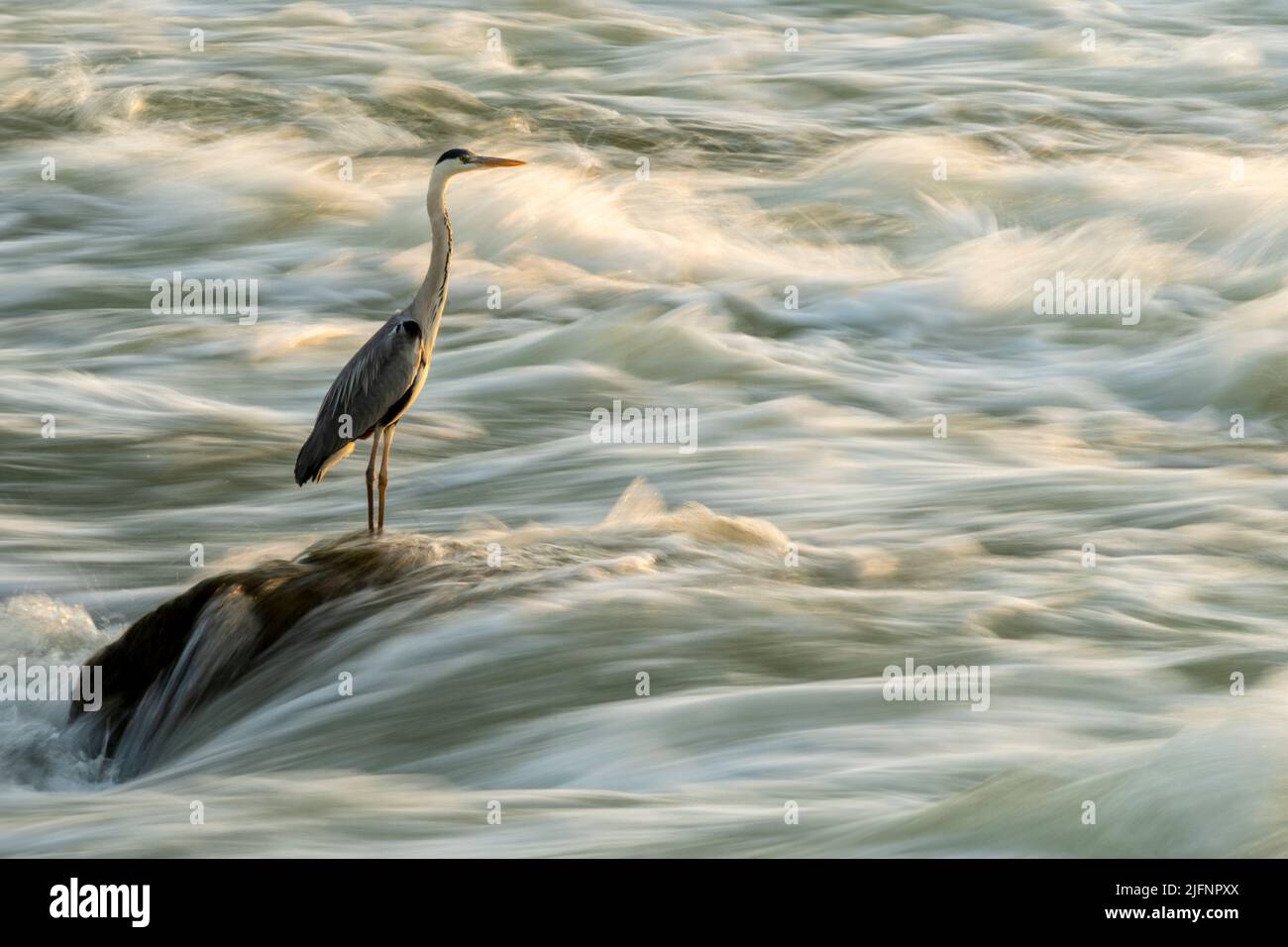 Strong river current hi-res stock photography and images - Alamy