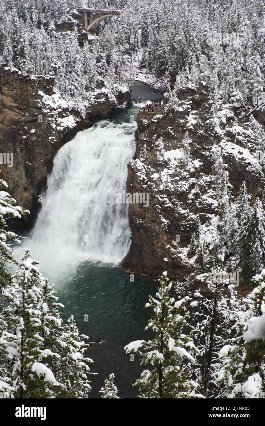 A vertical view of the Upper Falls of the Yellowstone National Park ...