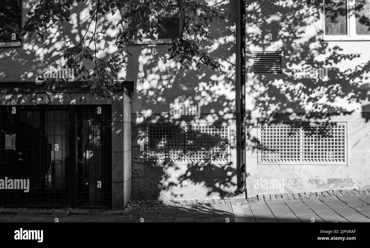 A grayscale shot of the shadow of trees on the wall of a residential ...