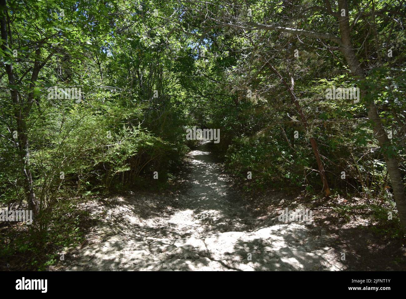 Dallas county hi-res stock photography and images - Alamy