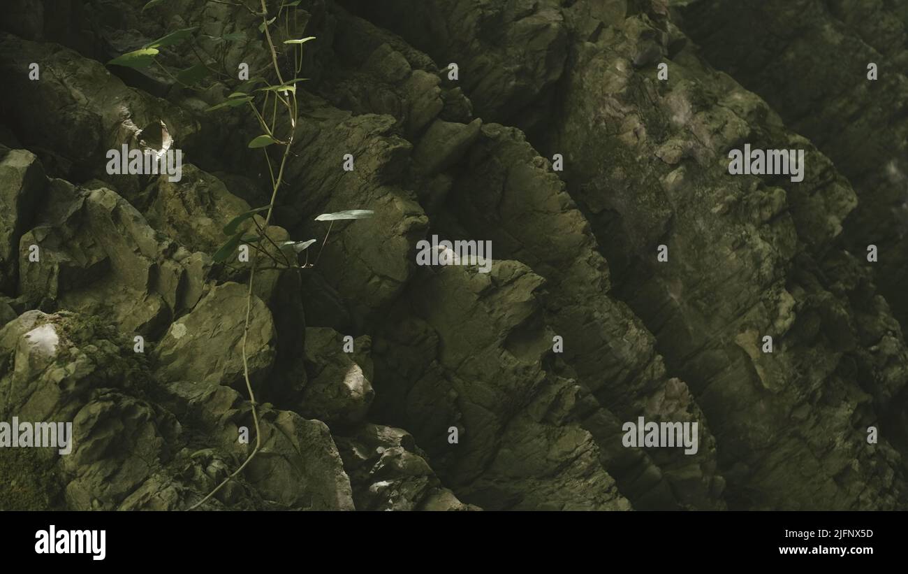 Rocky wall with water reflection. Creative. Rocky wall of gorge with ...