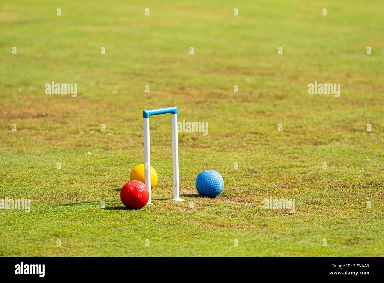 Cricket setting hi-res stock photography and images - Alamy
