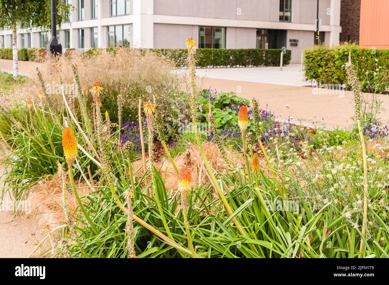 English riverscape hi-res stock photography and images - Alamy