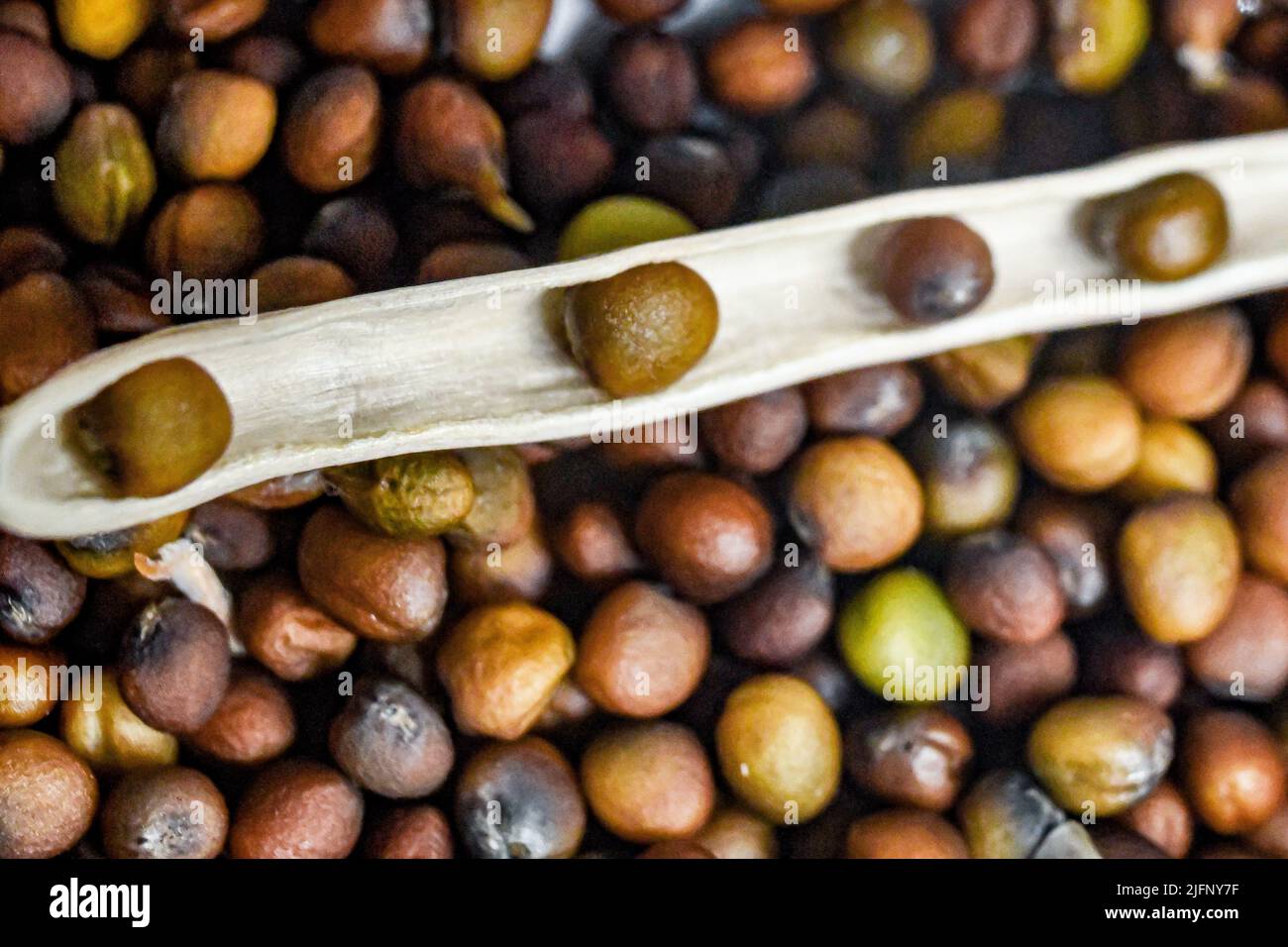 Kale seeds hi-res stock photography and images - Alamy