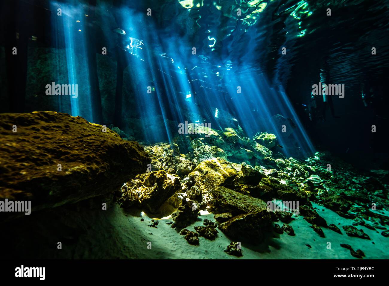 The beautiful nature of ocean underwater Stock Photo - Alamy