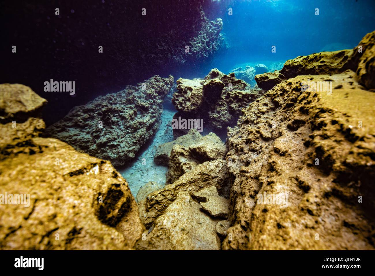 The beautiful nature of ocean underwater Stock Photo - Alamy