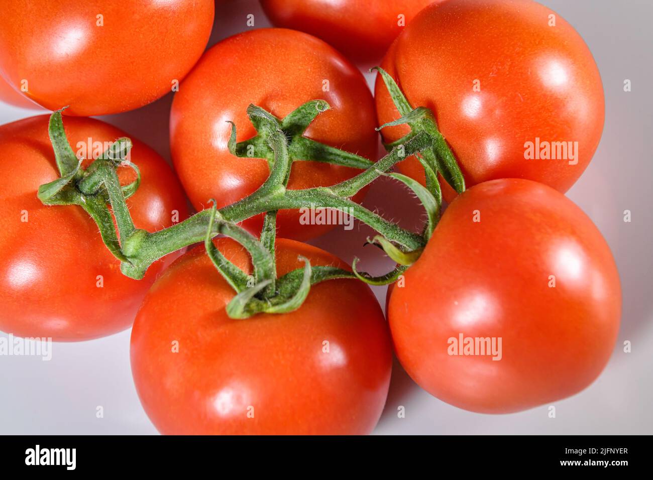 Tomatoes cut out tomatoes on vine - red ripe tomato - tomatoes white ...