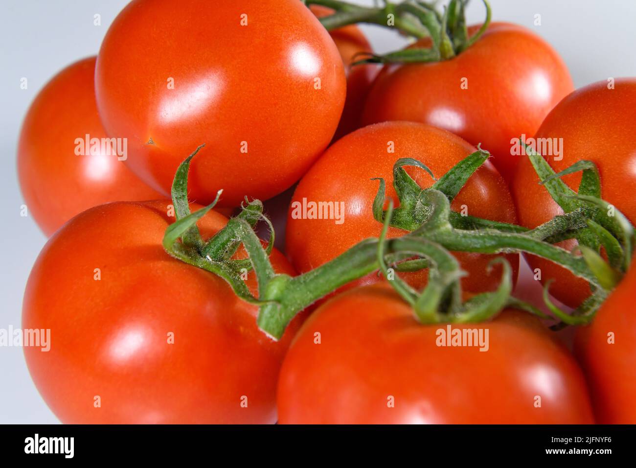 Tomatoes cut out tomatoes on vine - red ripe tomato - tomatoes white ...