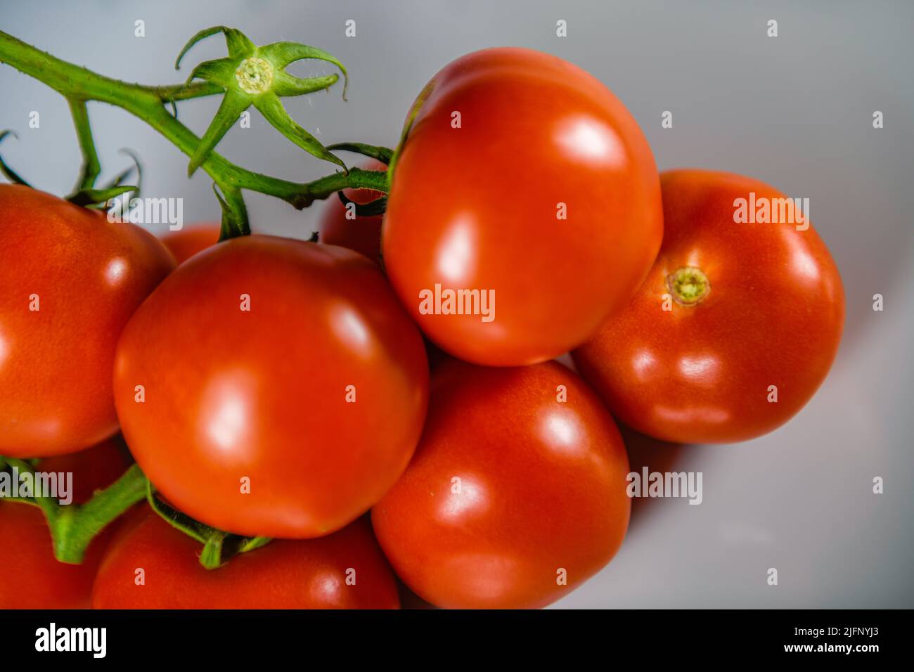 Tomatoes cut out tomatoes on vine - red ripe tomato - tomatoes white background cutout tomatos ...