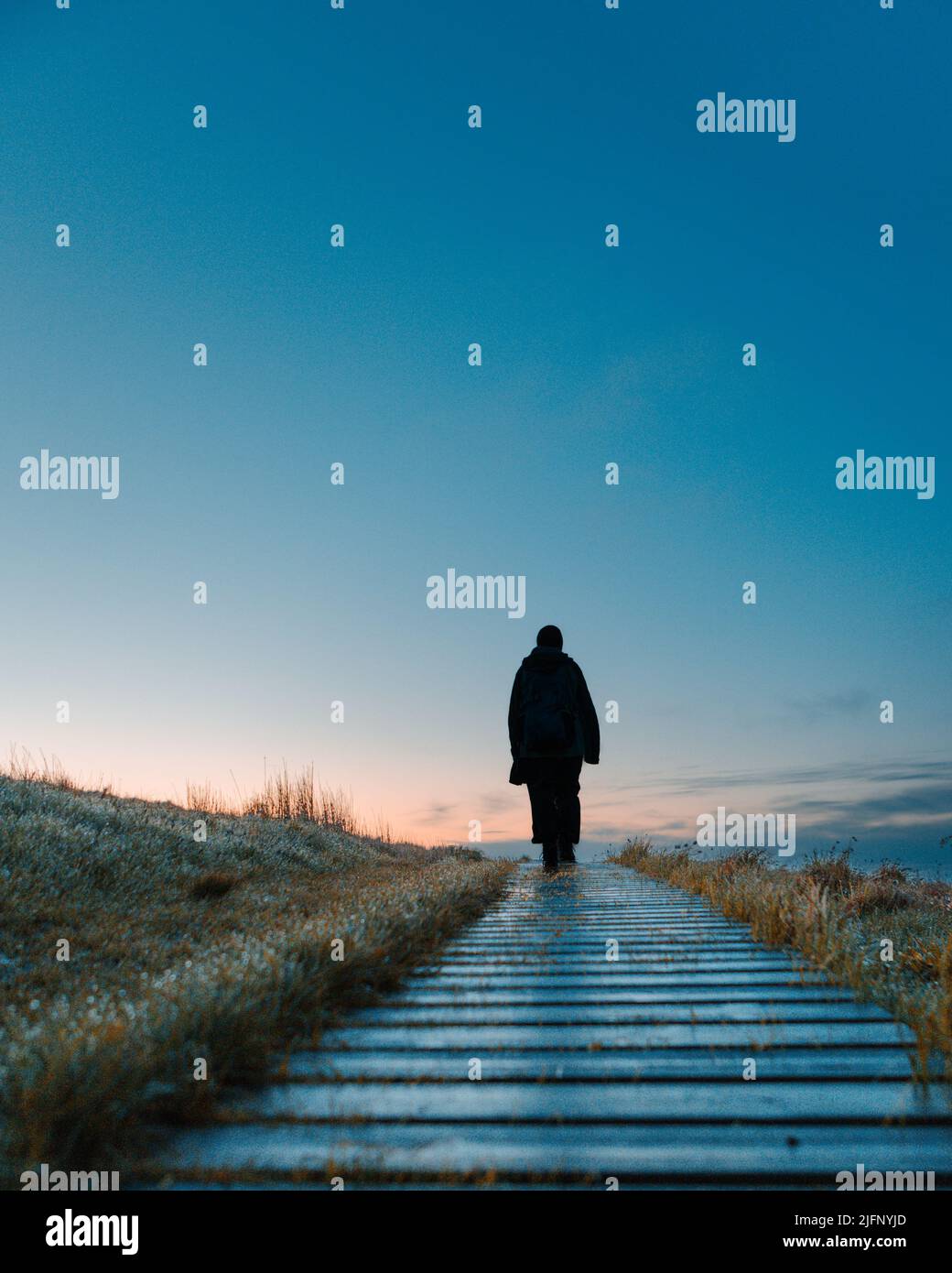 A vertical low-angle shot of a person walking on a path in the sunset ...